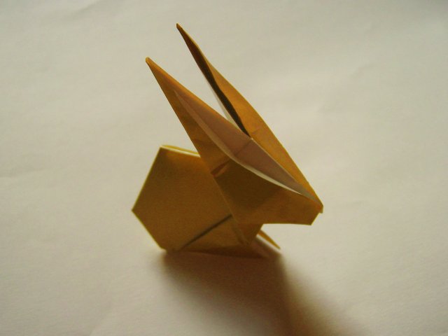 Rabbit (Stephen O'Hanlon) | Happy Folding